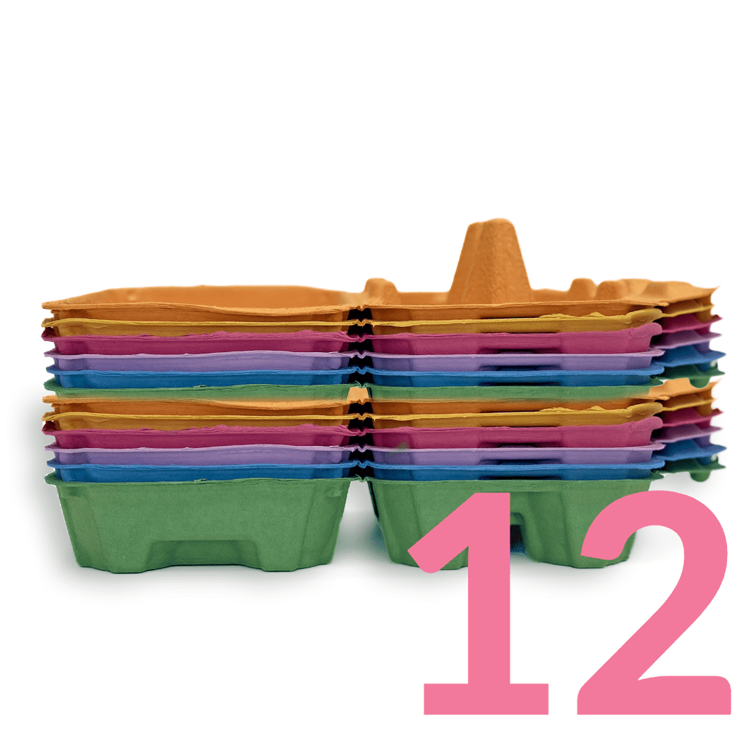 Egg Cartons Jumbo XL - Multicolor — The Cookie Countess