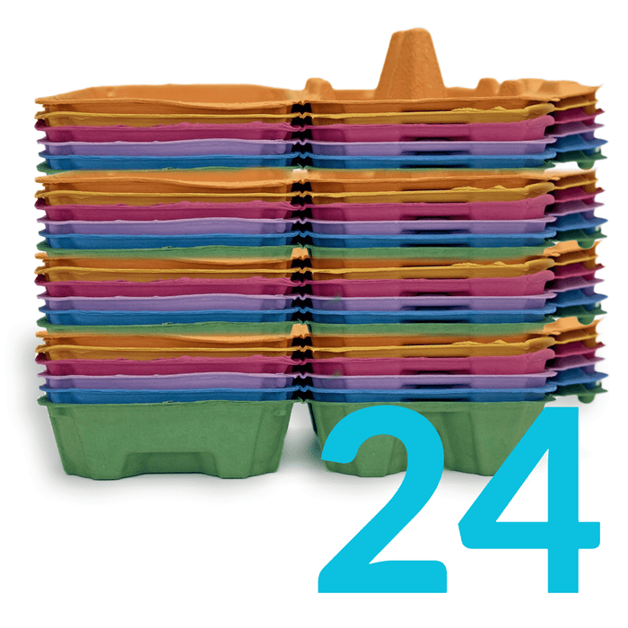 Egg Cartons Jumbo XL - Multicolor — The Cookie Countess