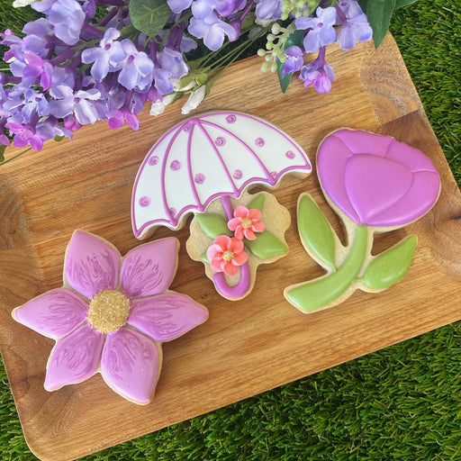 Decorating Classes — The Cookie Countess
